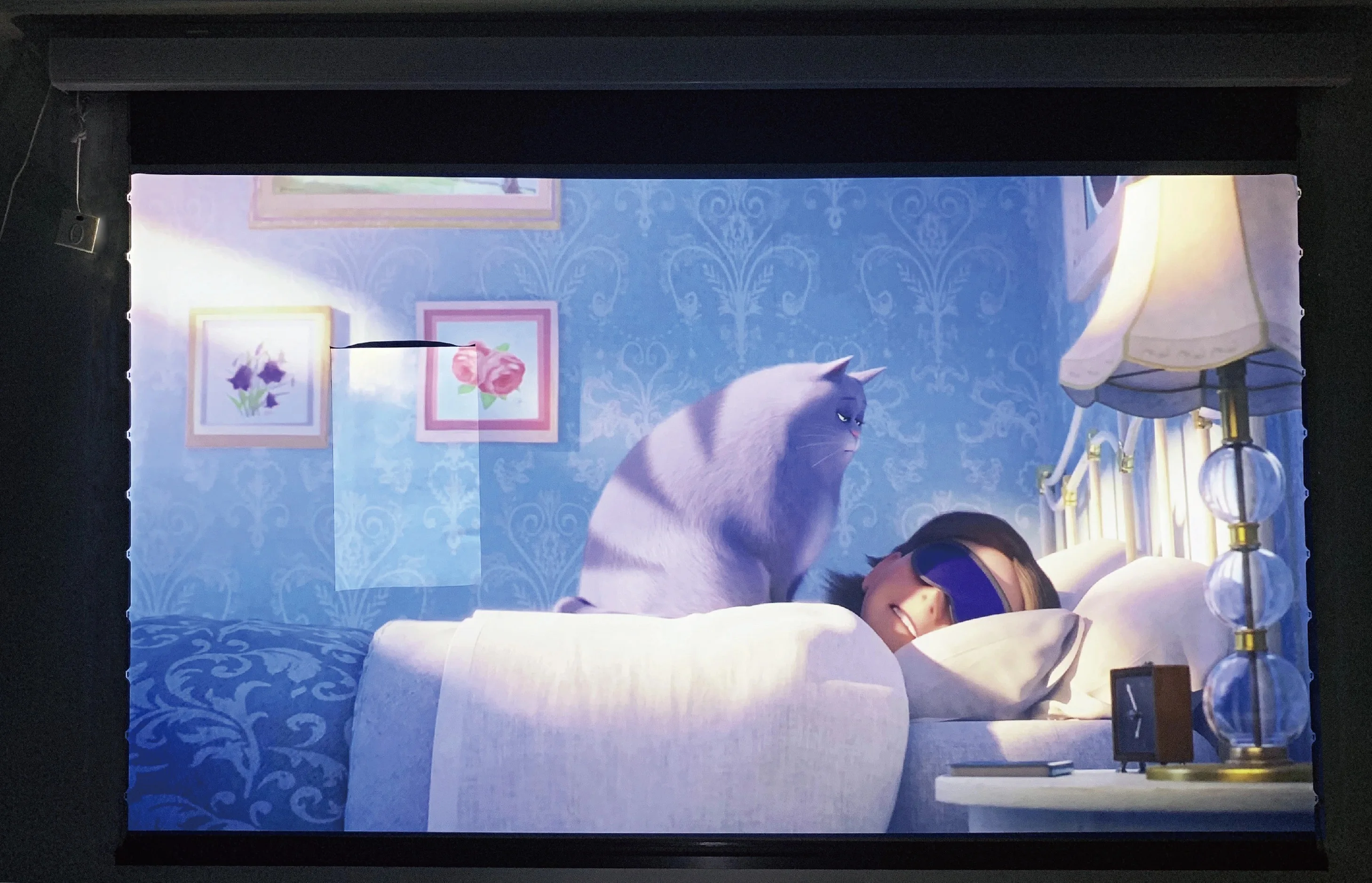 Vividstorm 120 Inch Pro Slimline Motorized Drop Down Screen Ust ...