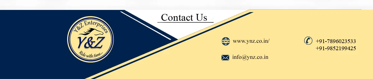 Company Overview - Y & Z ENTERPRISES