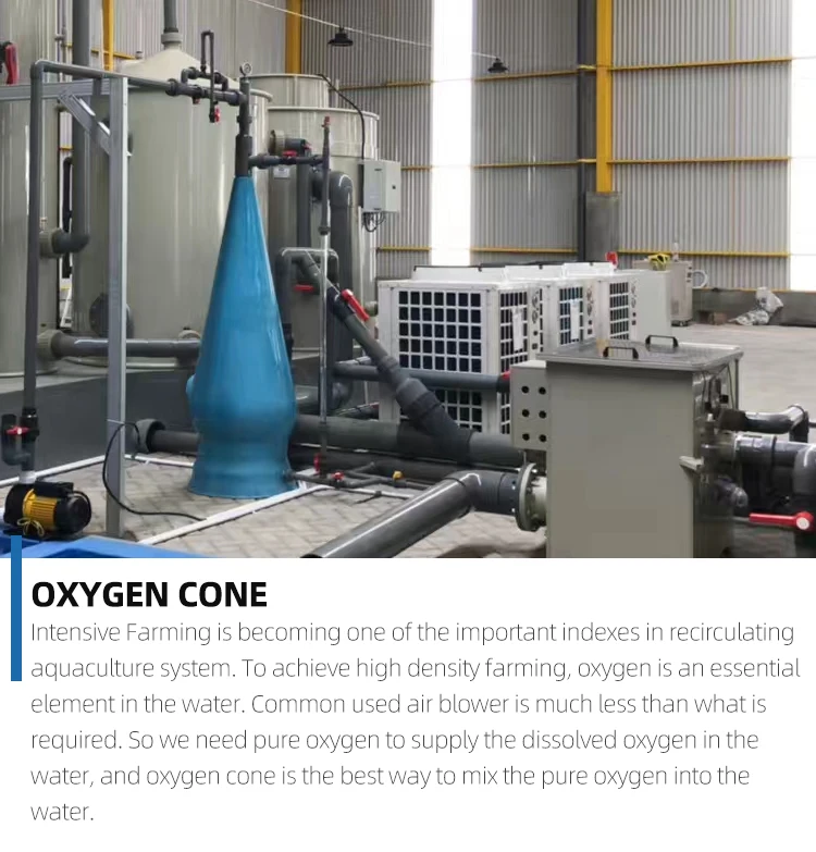 Recirculating Aquaculture System Oxygen Cone For Fish Farm High Density Ras Oxygen Cone For Fish ...