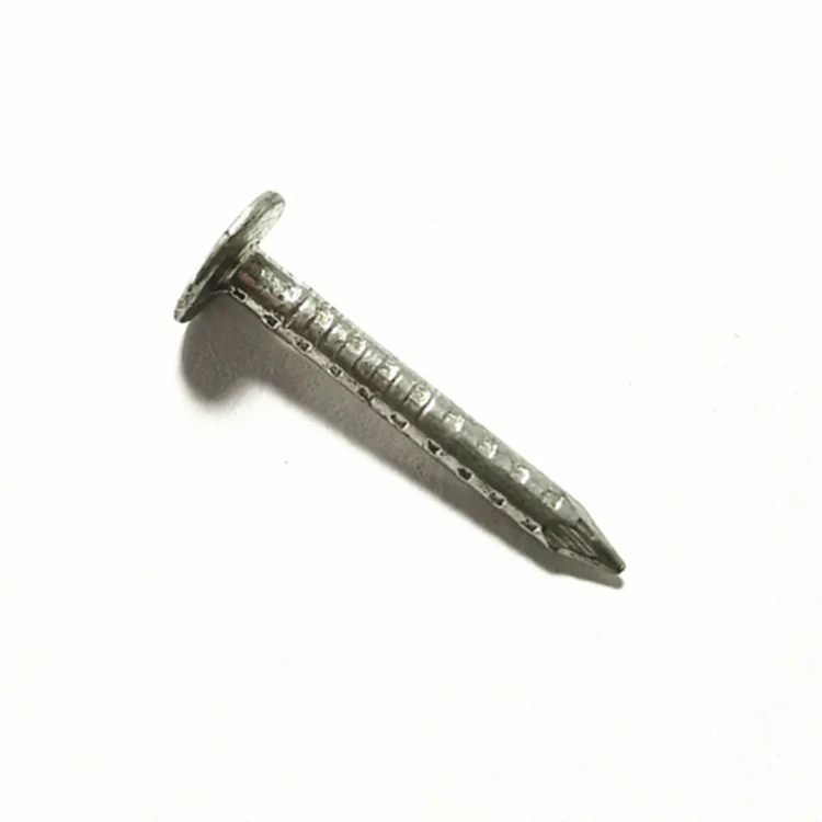 Electro Galvanized Large Head Clout Nail 1"x11g Felt Nail Linoleum Nail ...
