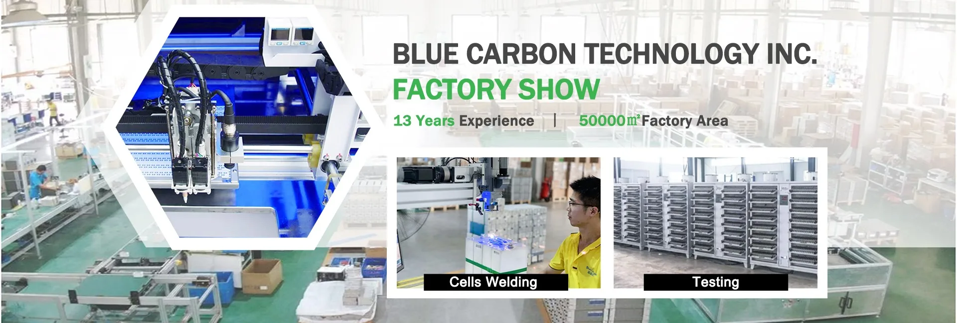 Blue Carbon Technology Inc. - Solar Energy System, Solar Street Light