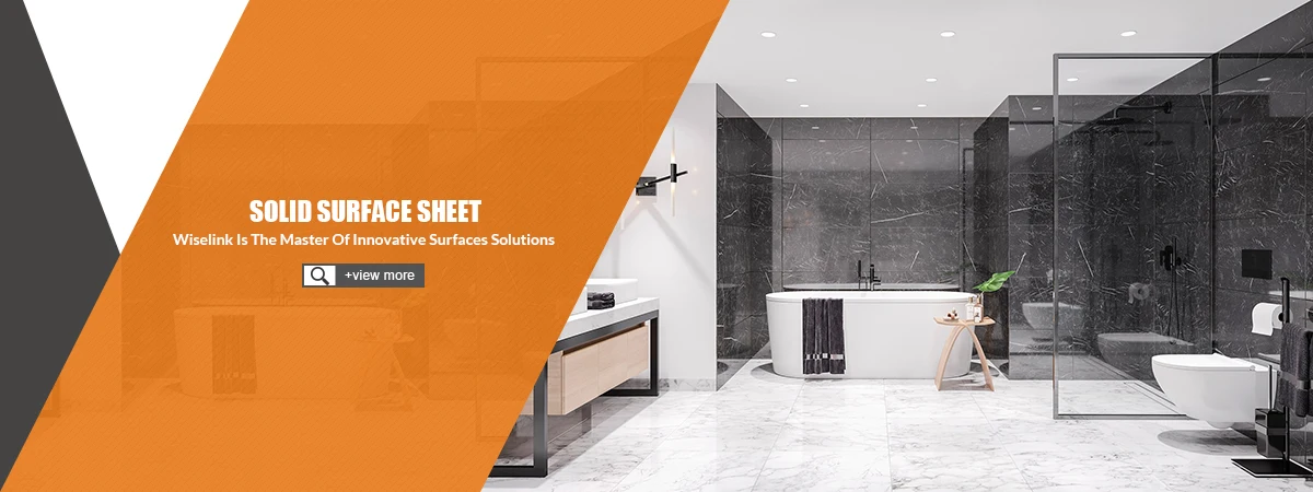 Company Overview - Guangdong Wiselink Ltd.