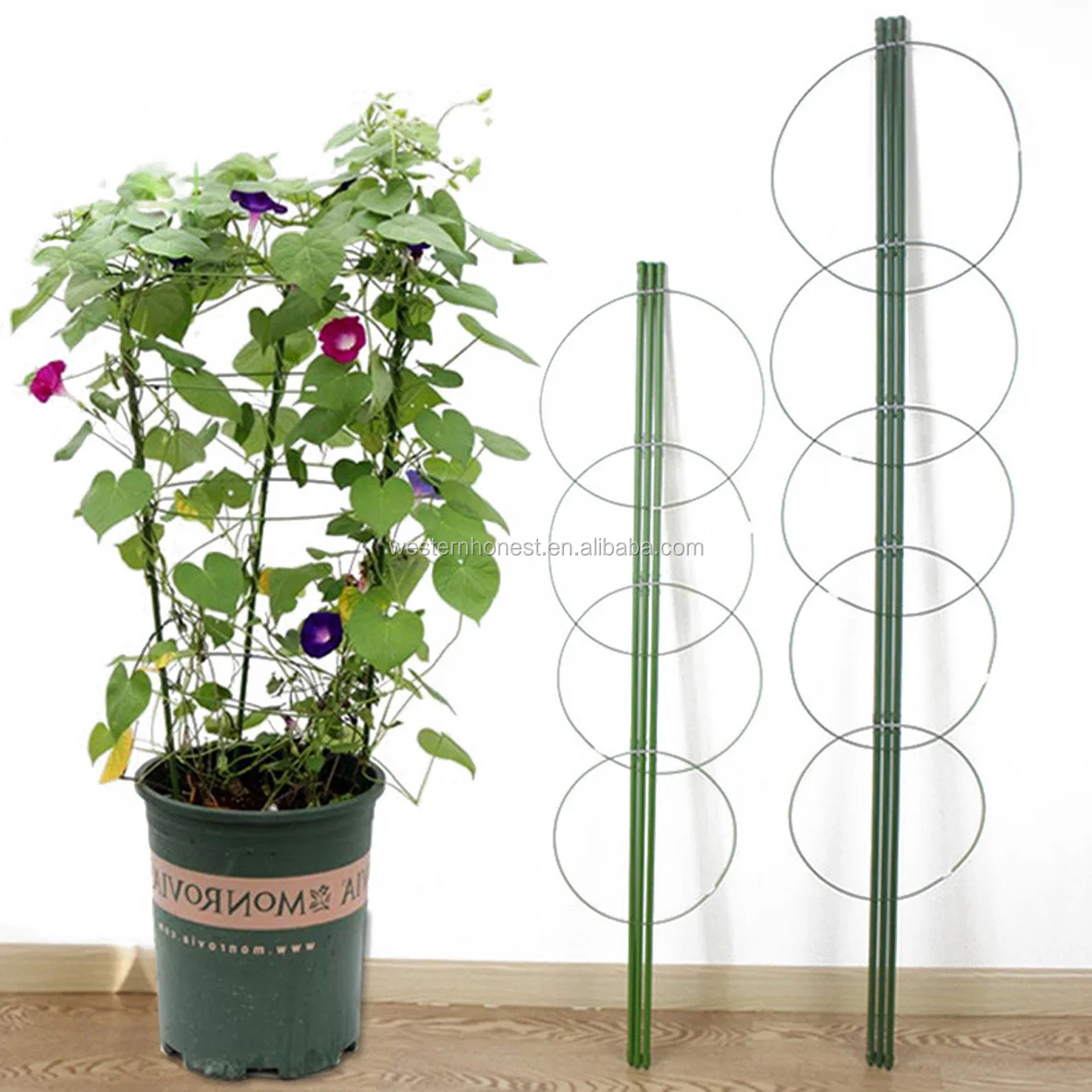 3 Rings Garden Plant Climbing Sticks Garden Trellis Flower Support ...