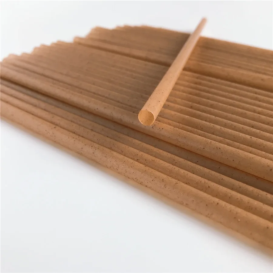 Eco-friendly Bagasse Straws - Biodegradable & Sustainable