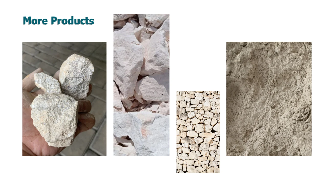 Company Overview - PT NUSANTARA ESSENTIALS MINERALS