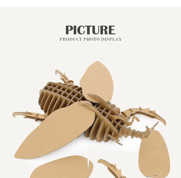Cardboard Beetle Miniature 3D Model Puzzle - Educational DIY Toy for ...