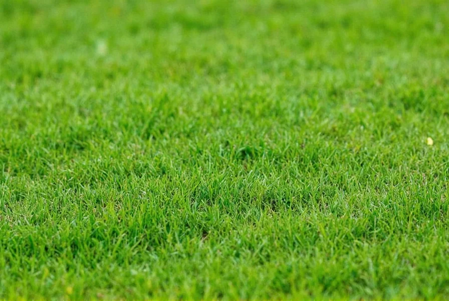 Green Clover Cover Crops: Practical Soil Health Guide