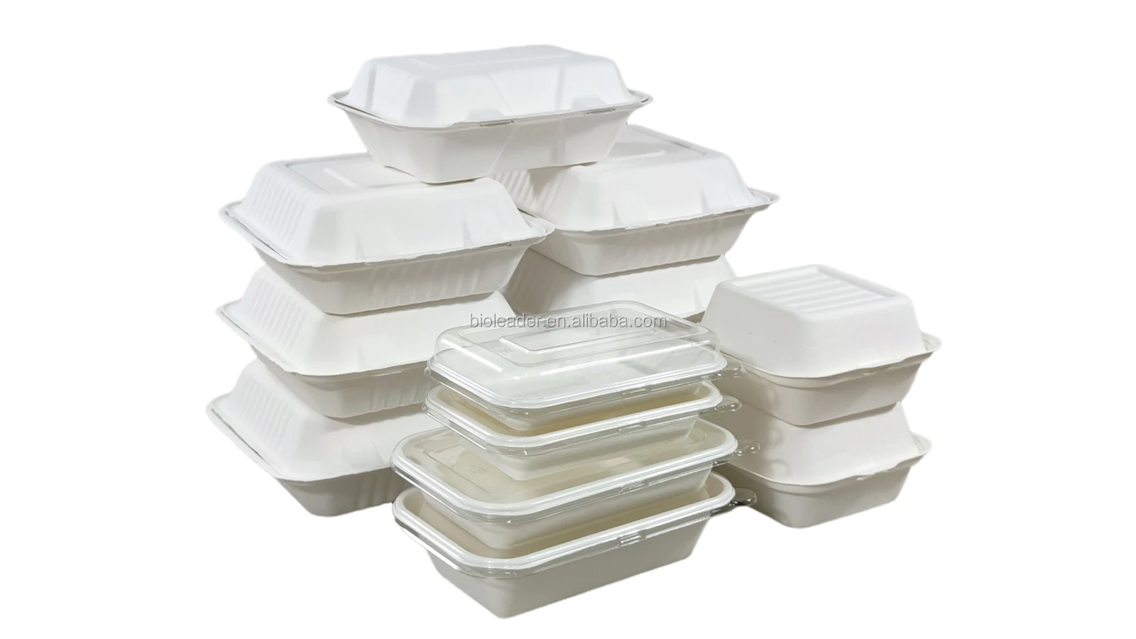 Biodegradable Disposable Food Container For Take Away - Buy Disposable ...