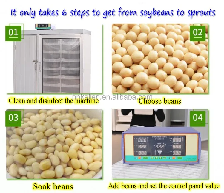 Hydroponic Greenhouse Mung Bean Seed Sprout Fodder Machine