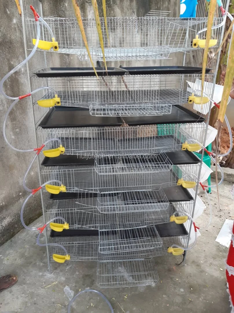 300 Quails Breeding Automatic Quail Cage - Durable & Efficient