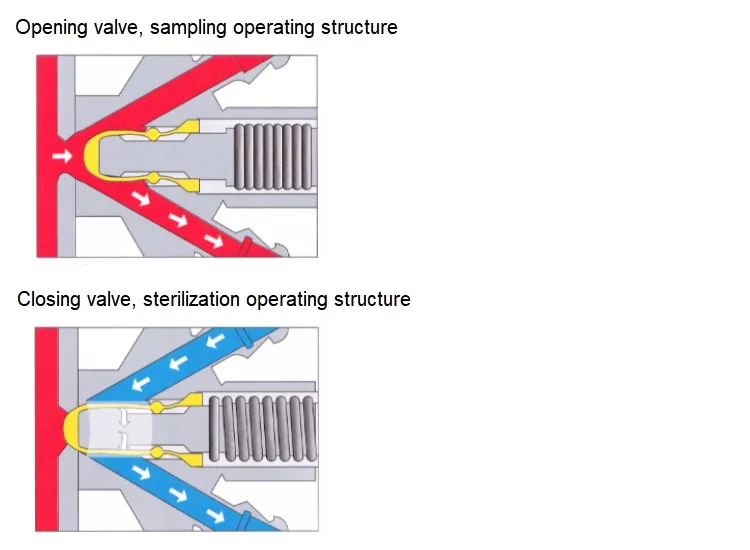 Sanitary Stainless Steel Aseptic Sample Valve - 3A/DIN