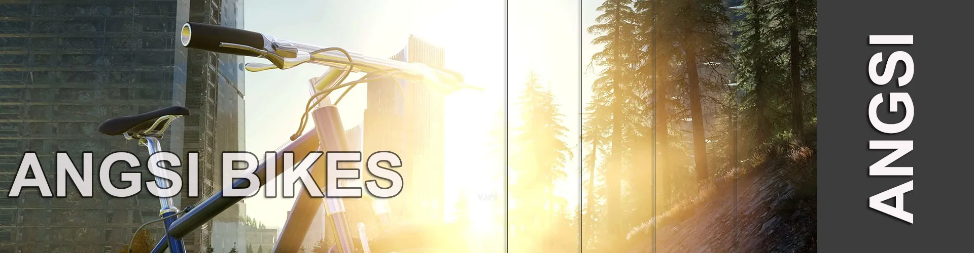 Hebei Angsi Technology Co., Ltd. - Mountain Bike, Children Bike