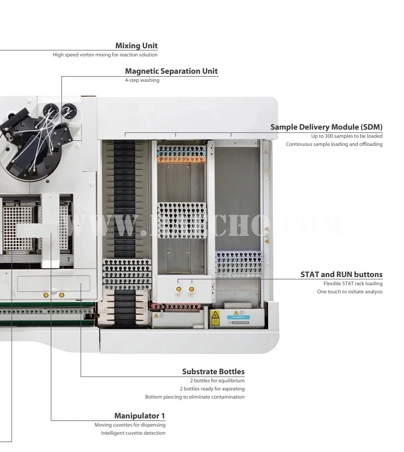 Mindray Cl-2000i Laboratory Chemiluminescence Immunoassay Analyzer ...