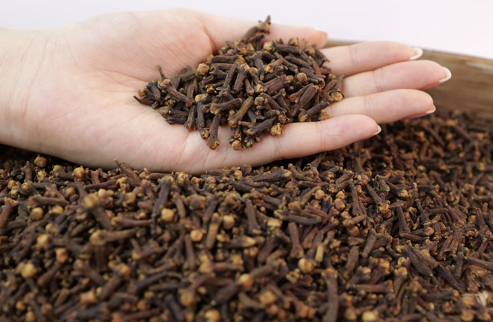 Chinese Clove Sticks - Clove Powder / Ground Cloves - Buy Clove Sticks ...