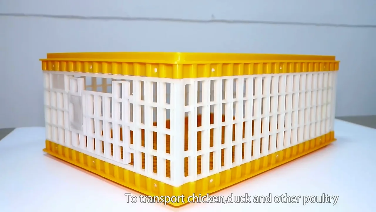 Plastic Transportation Chicken Crate Cages For Live Adult Chicken - Buy ...