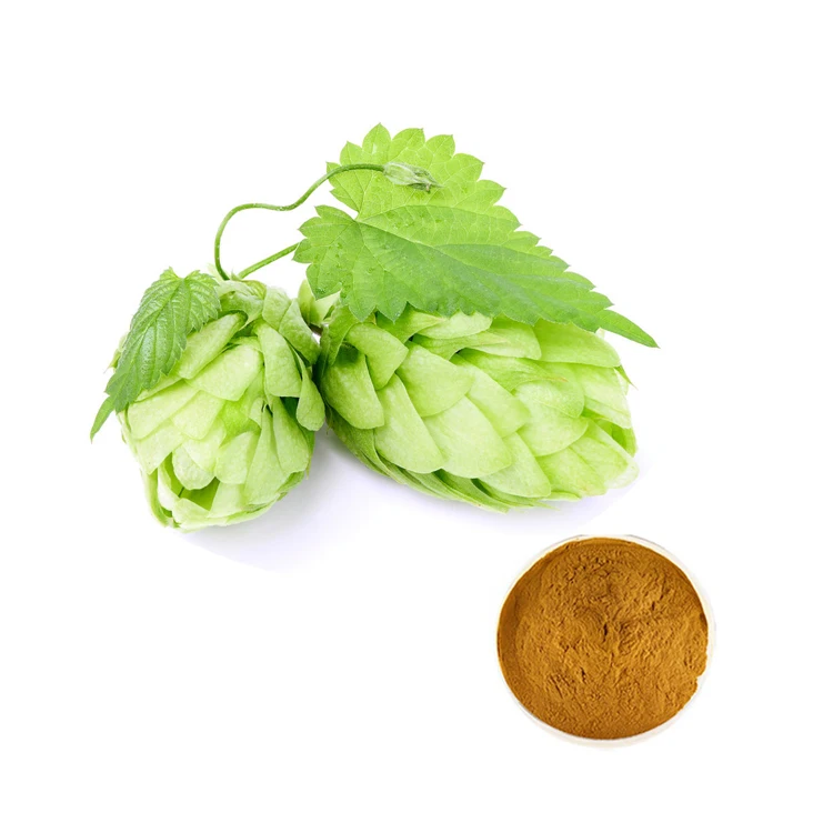 HONGDA Factory Supply Humulus Lupulus Hops Extract Hops