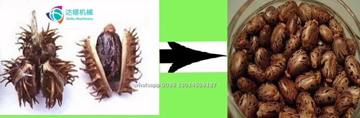 Efficient Castor Bean Dehulling Machine - High Capacity