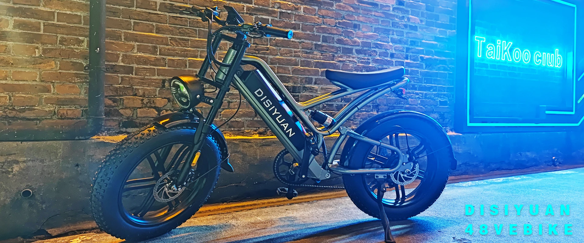 Foshan Disiyuan Electric Vehicle Co., Ltd. - Electric Bicycle, Electric ...