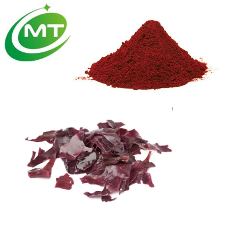 Organic Palmaria Palmata Seaweed Dulse Extract Powder