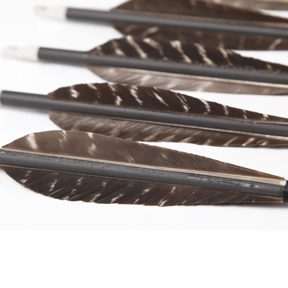 Alibow 100% Pure Carbon Arrows - Precision and Durability
