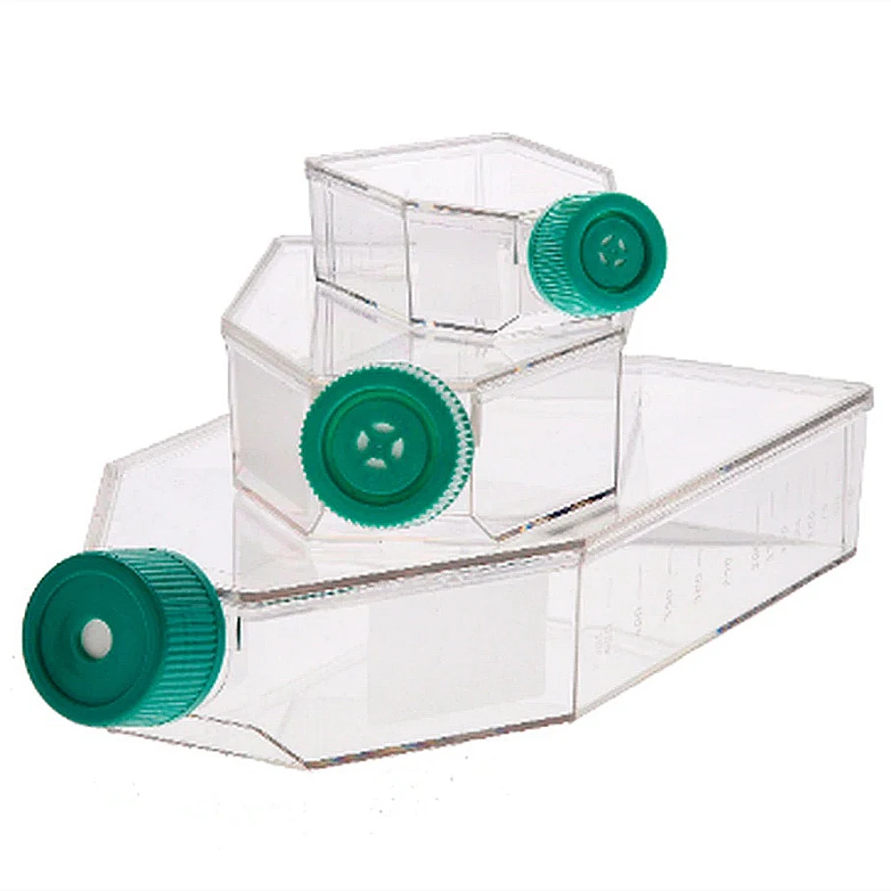 Laboratory Plastic 25ml 12.5cm2 Tissue Disposable Cell Culture Flask ...