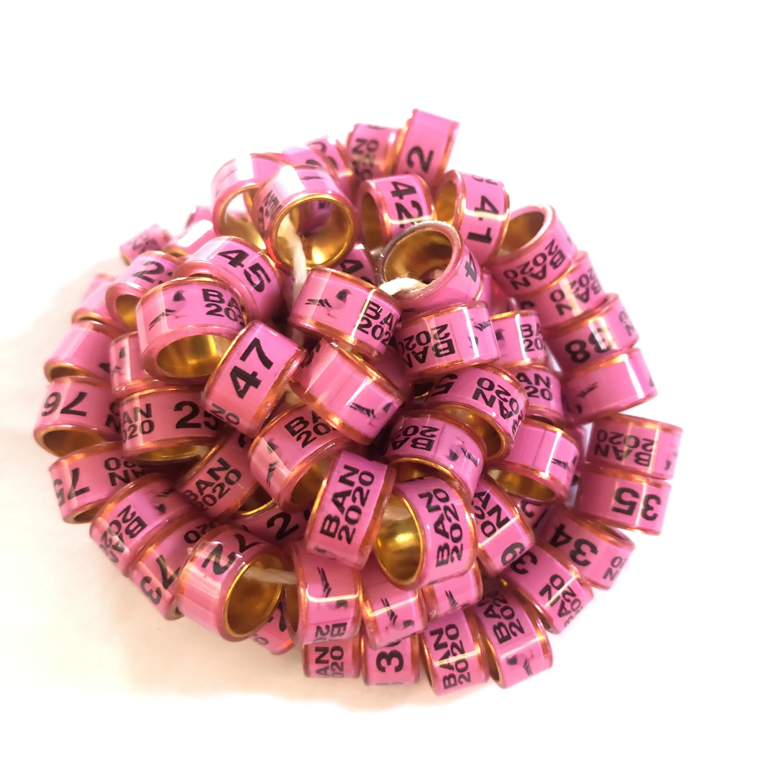 Top Quality Pigeon Rings 2024 Multi-Color Pigeon Band Ring With ...