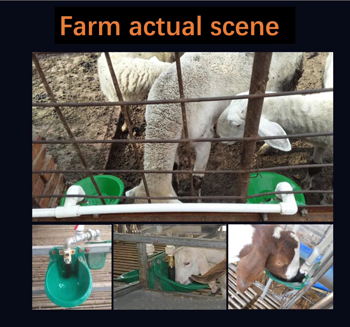 Plastic Goat Drinkers & Stainless Steel Sheep Bowls
