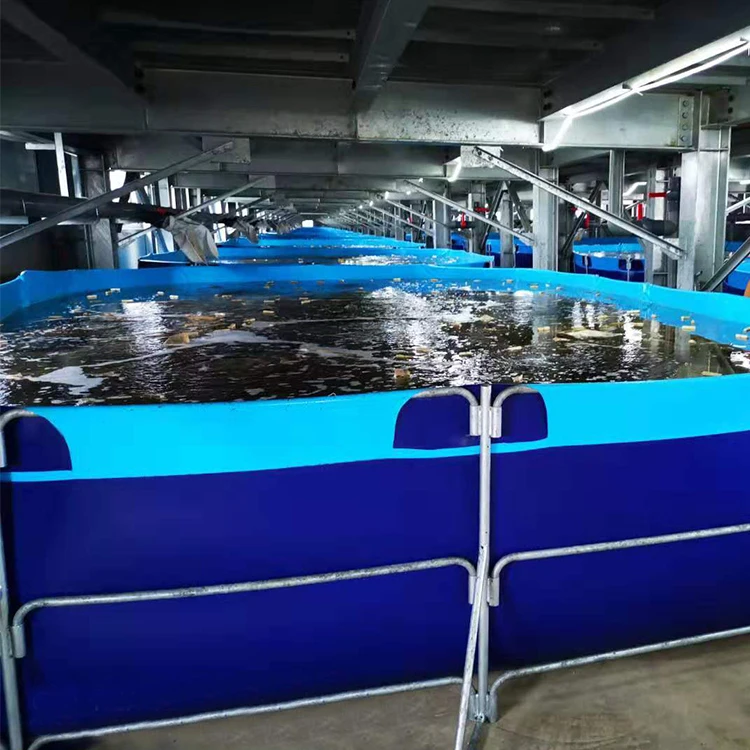 Flexible And Portable Pvc Fish Pond Tarpaulin Fish Tank For Importers ...