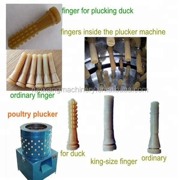 Chicken Gizzard Peeler Machine Chicken Feet Duck Claw Peeling Washing ...