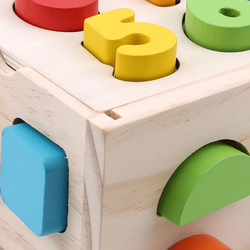 Baby Block Match Learning Educational Wood Toy 17 Holes Geometry ...