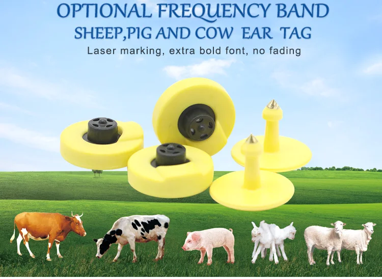 Gps Ear Tag Cattle Rfid Cow Ear Tag Tx-et200 - Buy Ear Tag Farm ...