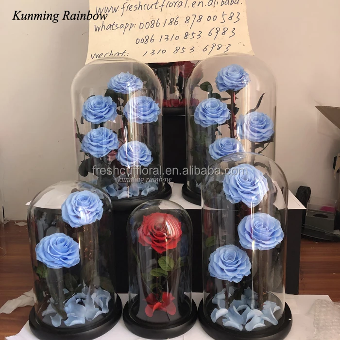 Eternity Preserved Roses - Perfect for Wedding & Home Decor