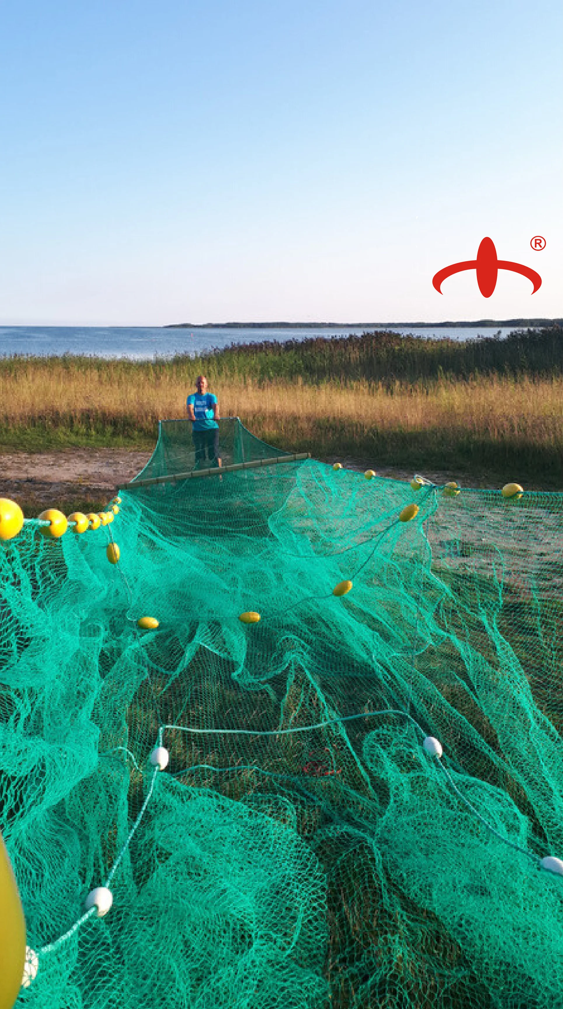 Sea Two Body Weir Trap Fishing Weir Cage Fixed Trap Cage System All Can ...