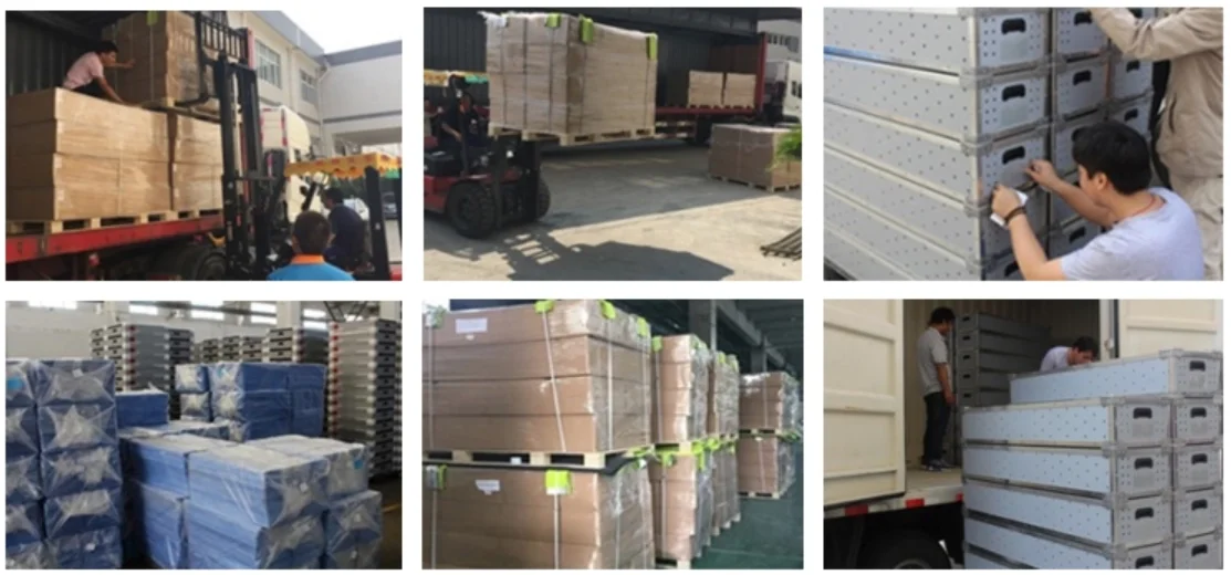 Chloroplast Plastic Board - Educational Model & Signage