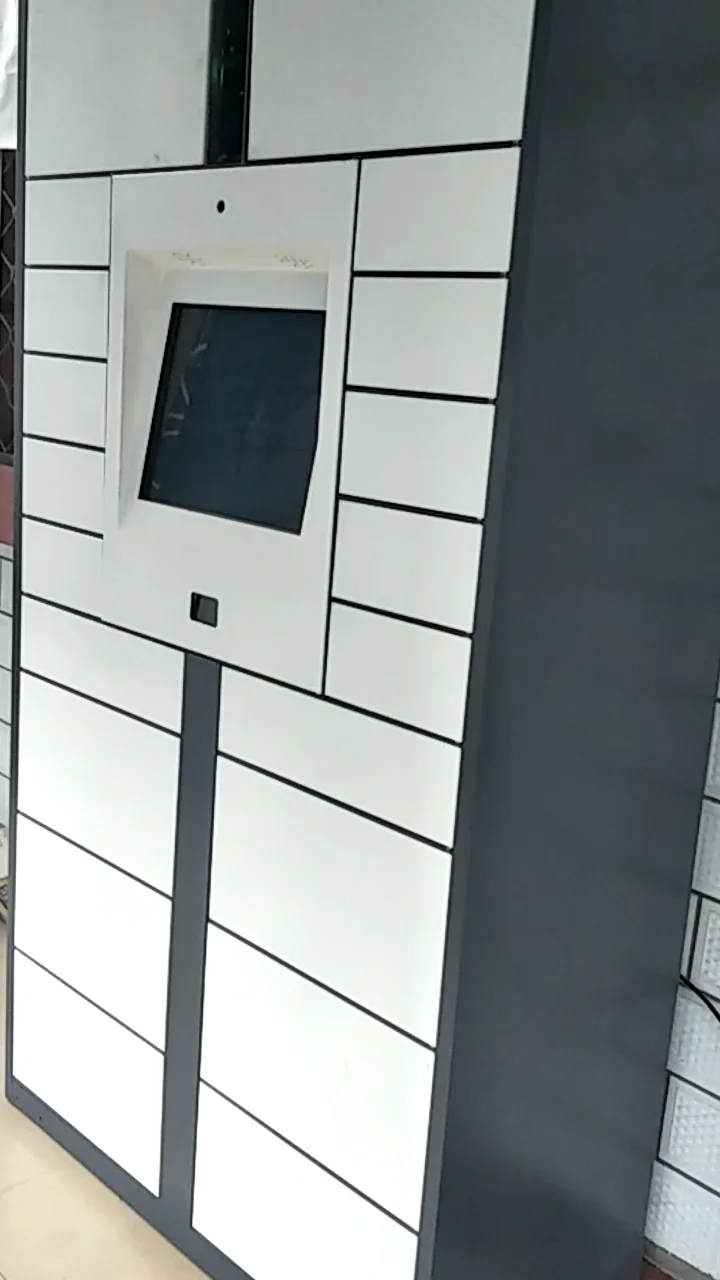 Outdoor Fridge Delivery Locker Parcel Station Customized Smart ...