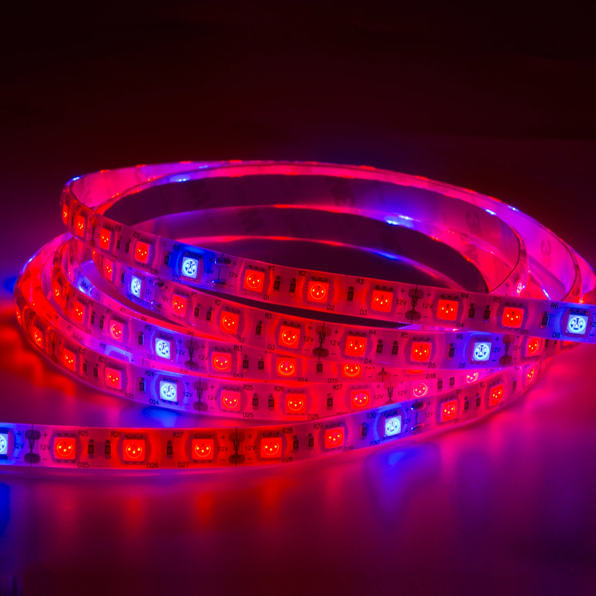 Red And Blue Full Spectrum Smd5050 Dc12v Led Plant Grow Lights - Buy ...
