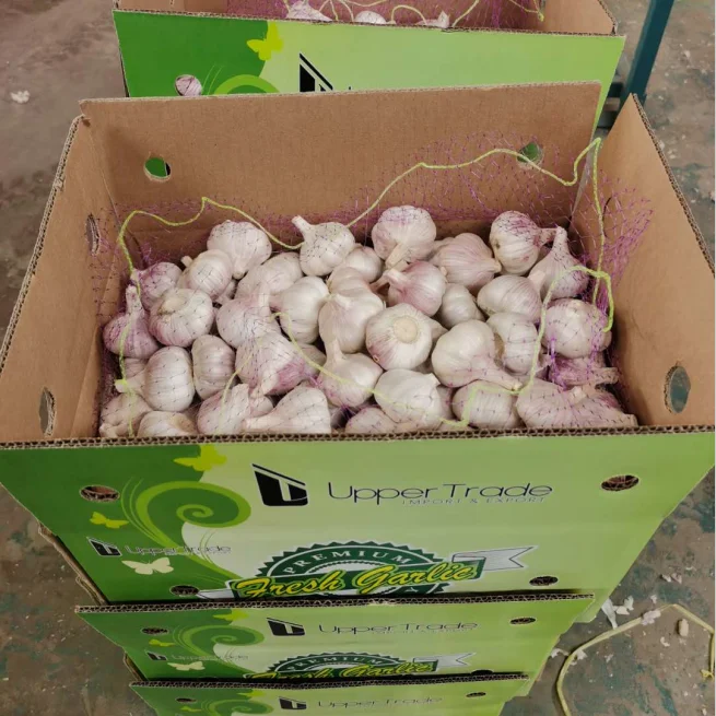 Fresh Garlic 10kg Carton Packed New Season Red Garlic Export| Alibaba.com