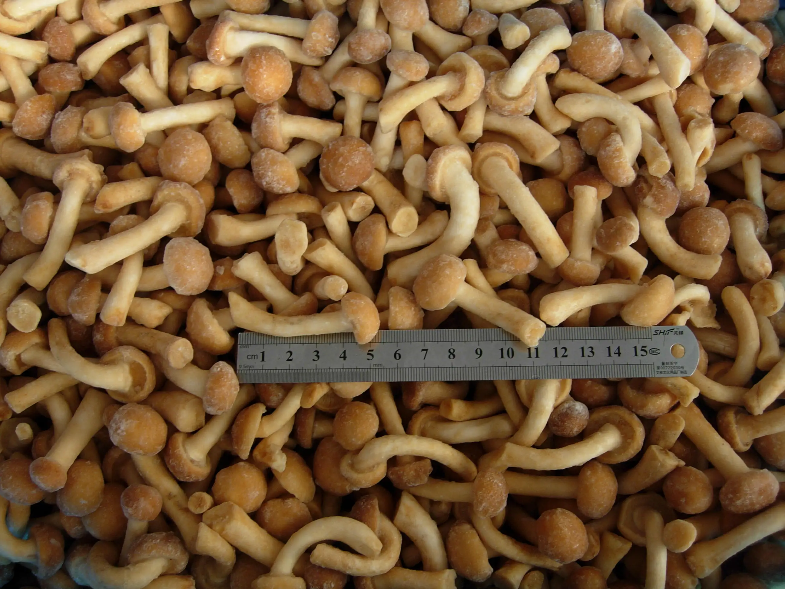 New Crop Iqf Frozen Nameko Mushroom - Buy Iqf Pholiota Nameko,Frozen ...