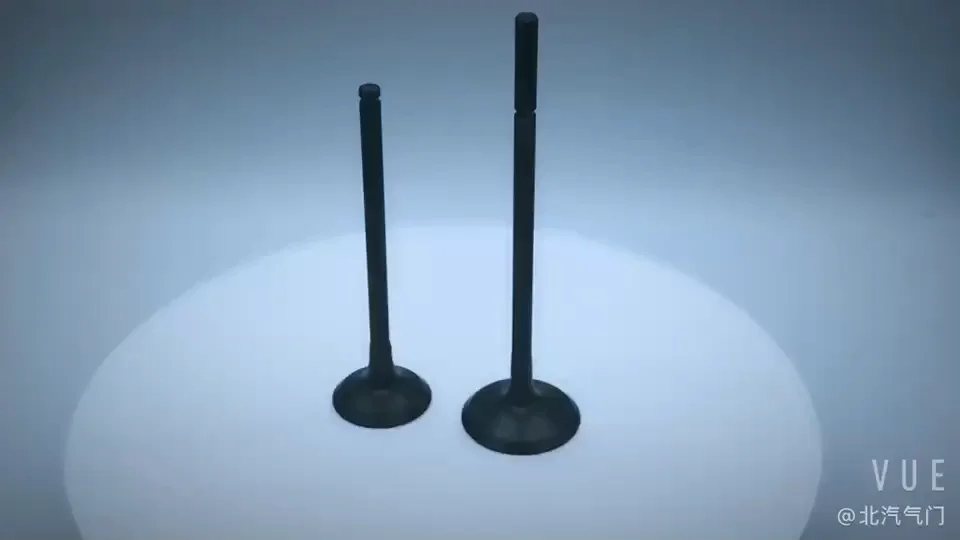 Engine Valve Intake And Exhaust For Land Rover Gasoline 3.0t Oe ...