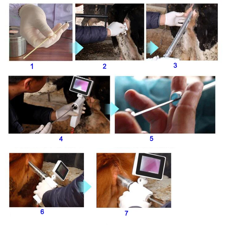 Advanced Pig AI Kit - Efficient Swine Insemination