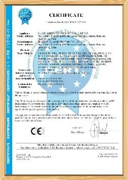 Company Overview - Huizhou Flash Hobby Technology Co., Ltd.