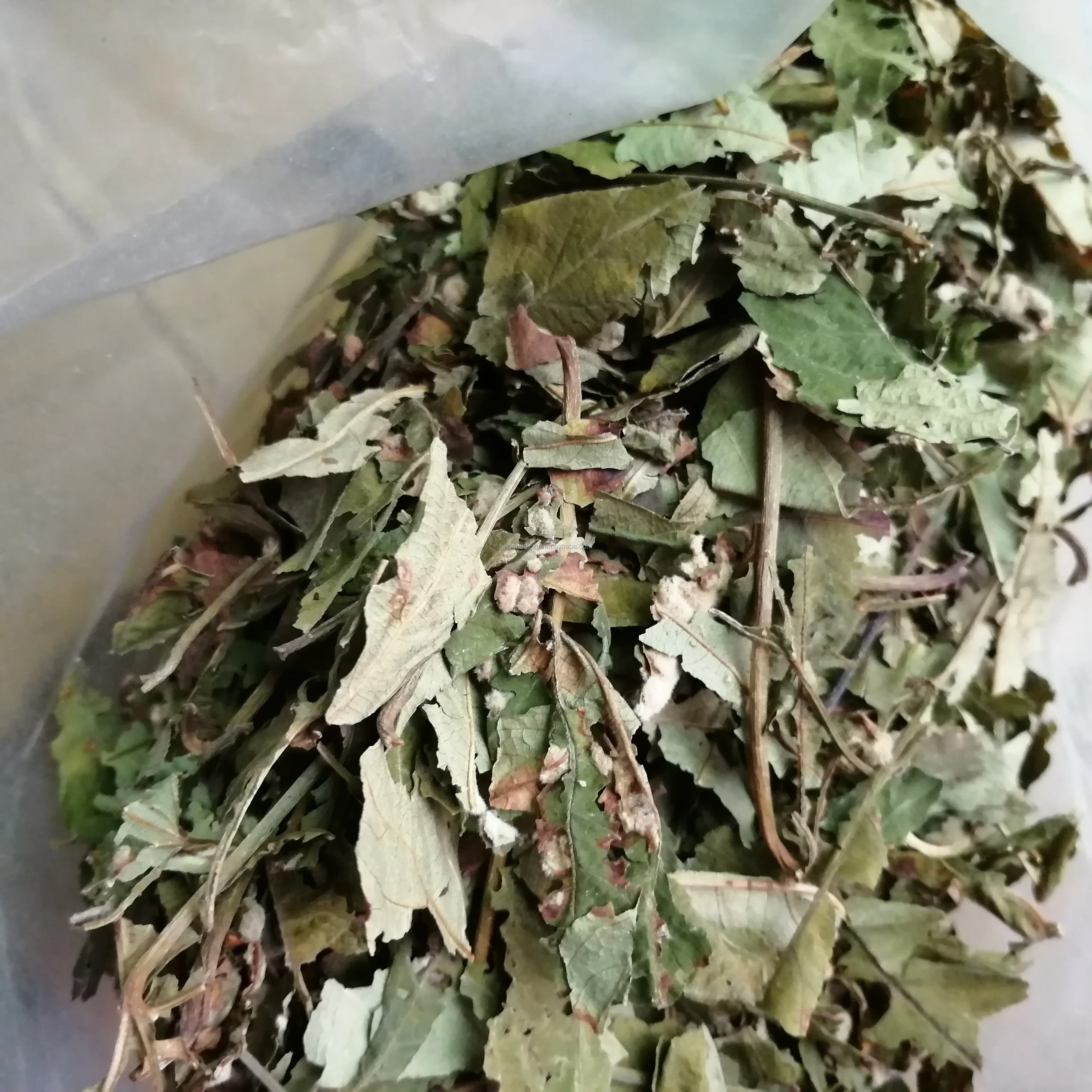 TIANCHA Dried Sweet Tea Loose Green Rubus Chingii Leaves
