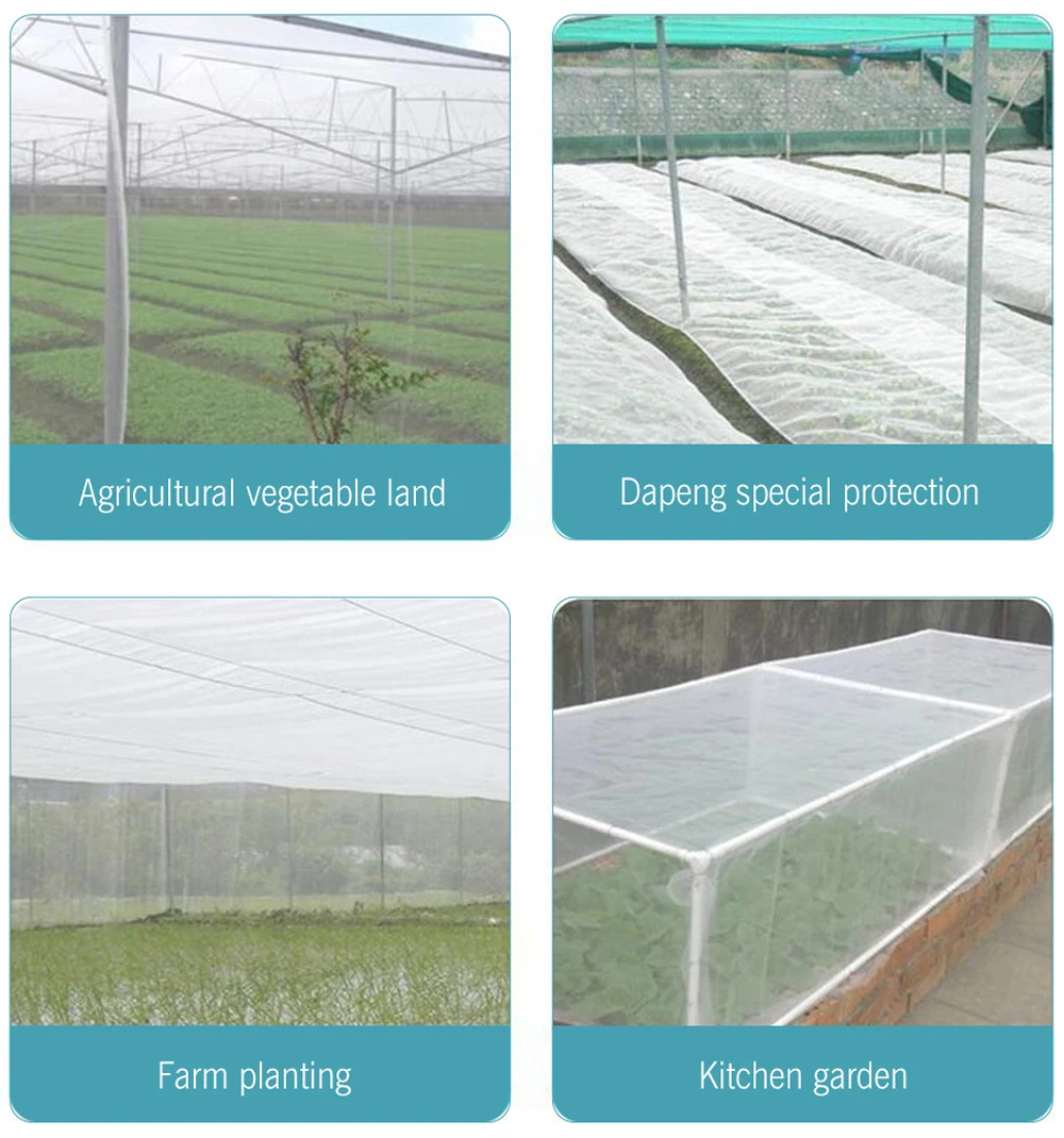 Agricultural Hdpe Anti-insect Net For Greenhouse Vegetables Fruit ...