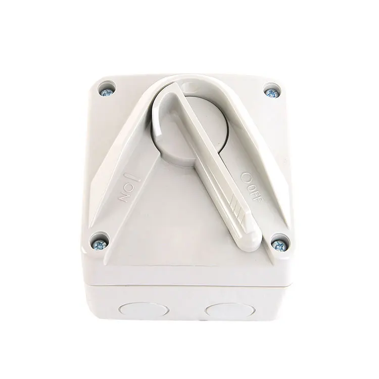 1 Pole 2 Pole 10a 20a Waterproof Electric Mini Isolator Switch - Buy ...
