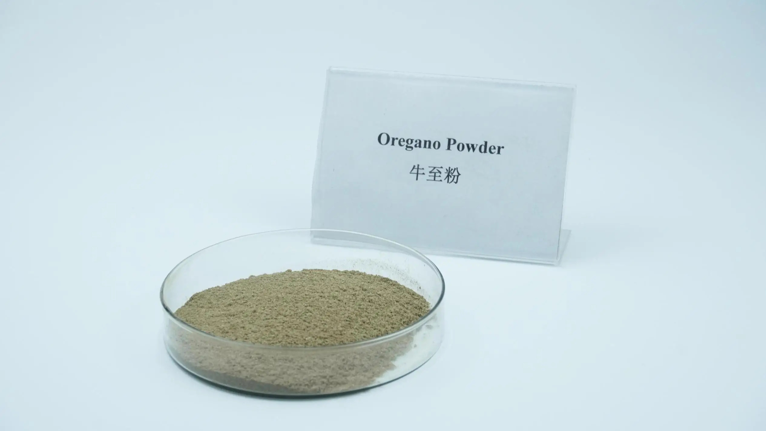 Wholesale Price Kanna Extract Sceletium Tortuosum 10:1 Kanna Plant ...