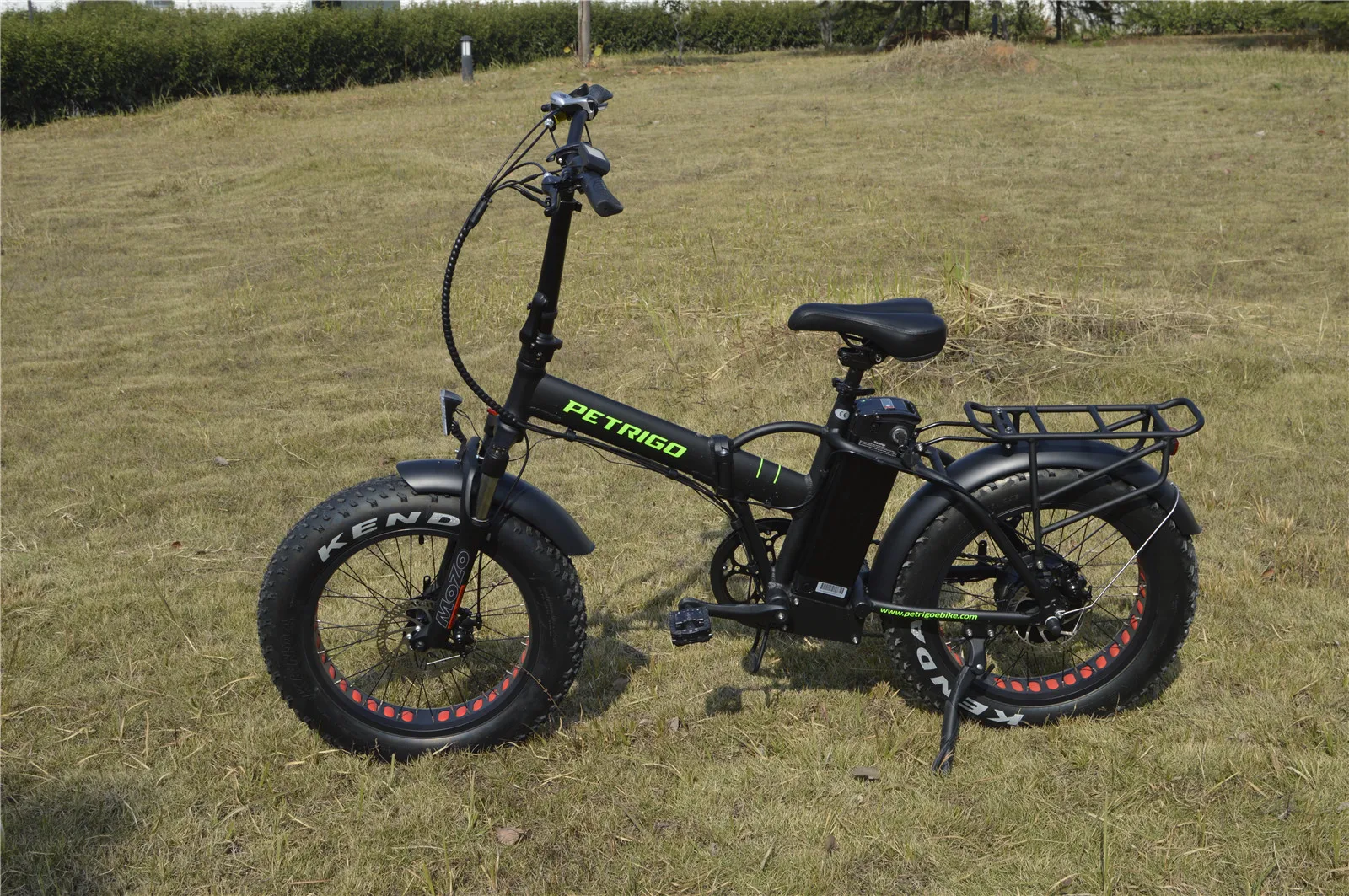 PETRIGO 20inch Fat Tire Electric Folding Bike Rear Motor Electric ...