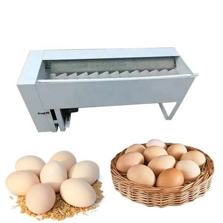 Stainless Steel Commercial Egg Washing Machine - Fully Automatic, 2000P ...