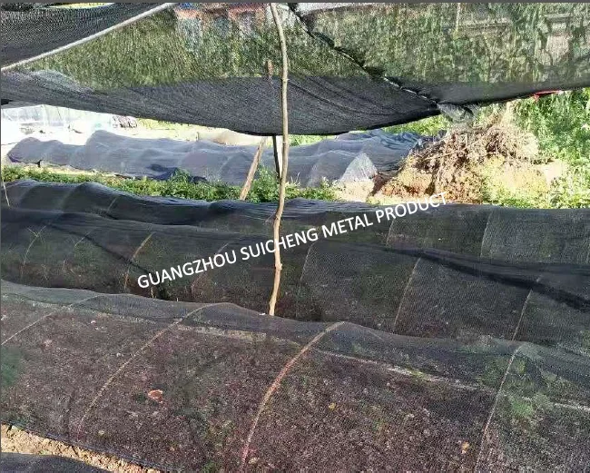 Guangzhou Agriculture Sun Shade Nets - Durable & Versatile