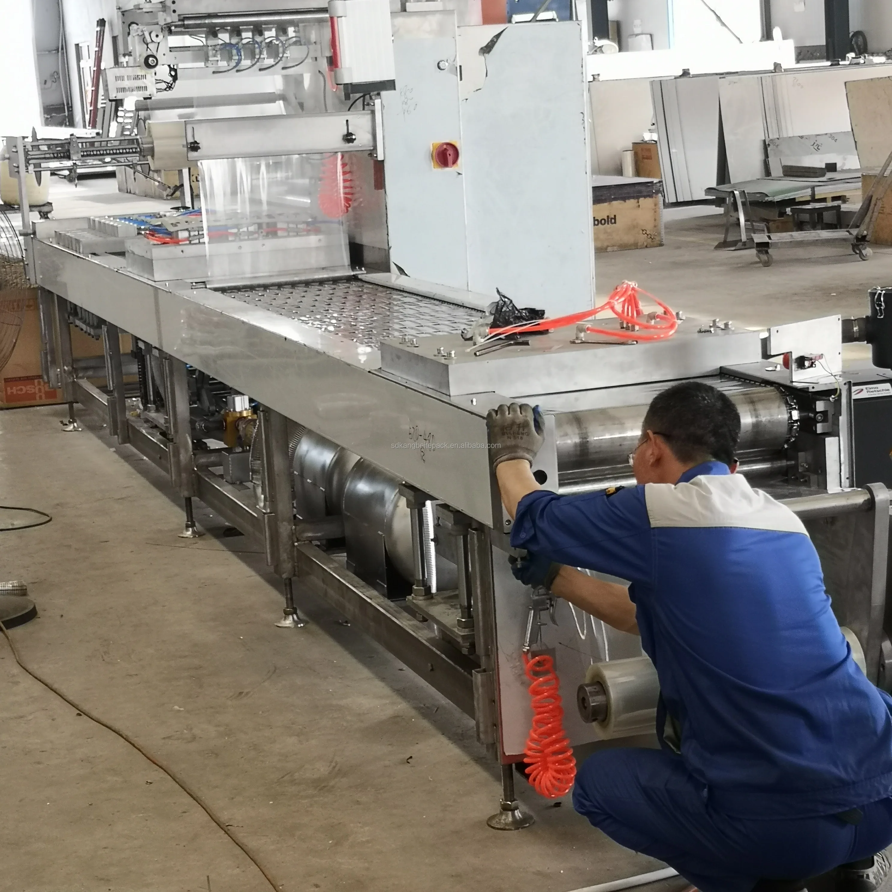 Inline Vacuum Skin Packaging Machine - Buy Skin Pack Machine,Skin ...