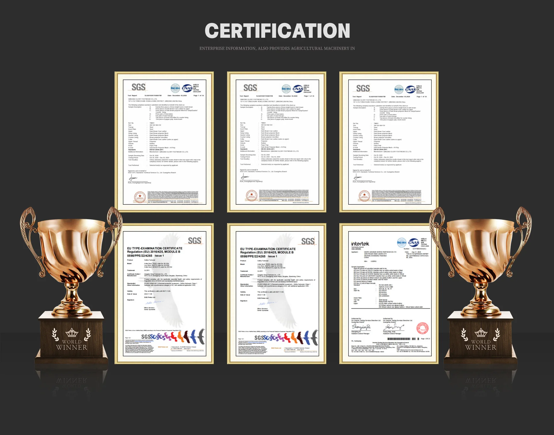 Company Overview - Gaomi Zstep Shoes Co., Ltd.